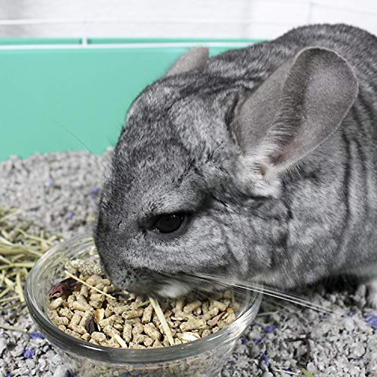 Sunseed 49130 Vita Prima Sunscription Chinchilla Food - High Fiber Timothy Formula, 3 LBS