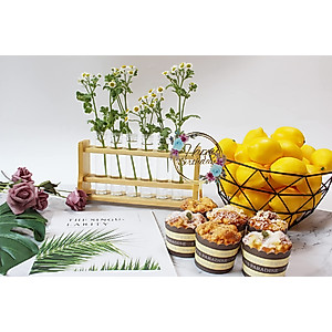 Muhome 30 Pack 65ml Clear Plastic Test Tubes with Screw Caps Flat Bottom, 27×149mm Tubes for Gumball Candy and Beads Storage, Scientific Experiments, Bath Salt DIY Christmas Party Favors