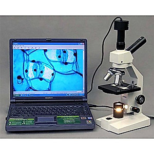 AmScope D120-MS Dual-View Compound Monocular Microscope, 40X-1000X Magnification, Brightfield, 1.25 NA Abbe Condenser, Mechanical Stage