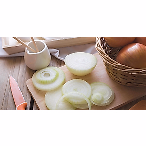 TomorrowSeeds - Vidalia Onion Seeds - 200+ Count Packet - for 2024 (Yellow Granex) Sweet Onions Shortday USA Vegetable Scallion Green White Red