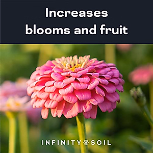 Infinity Soil - Seabird Guano - Sustainable and Natural Soil Amendment - Seabird Waste Rich in Phosphate and Calcium - Increases Foliage, Blooms and Fruit - 5 LBS