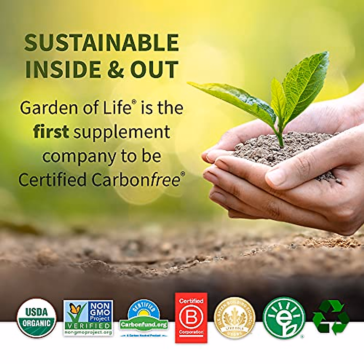 Protein Bars by Garden of Life SPORT, Organic Vegan Protein Bar for Women and Men - Chocolate Fudge, 20g Pure Protein per Bar with BCAAs and 9g Fiber, High Protein for Pre and Post Workout, 12 Count
