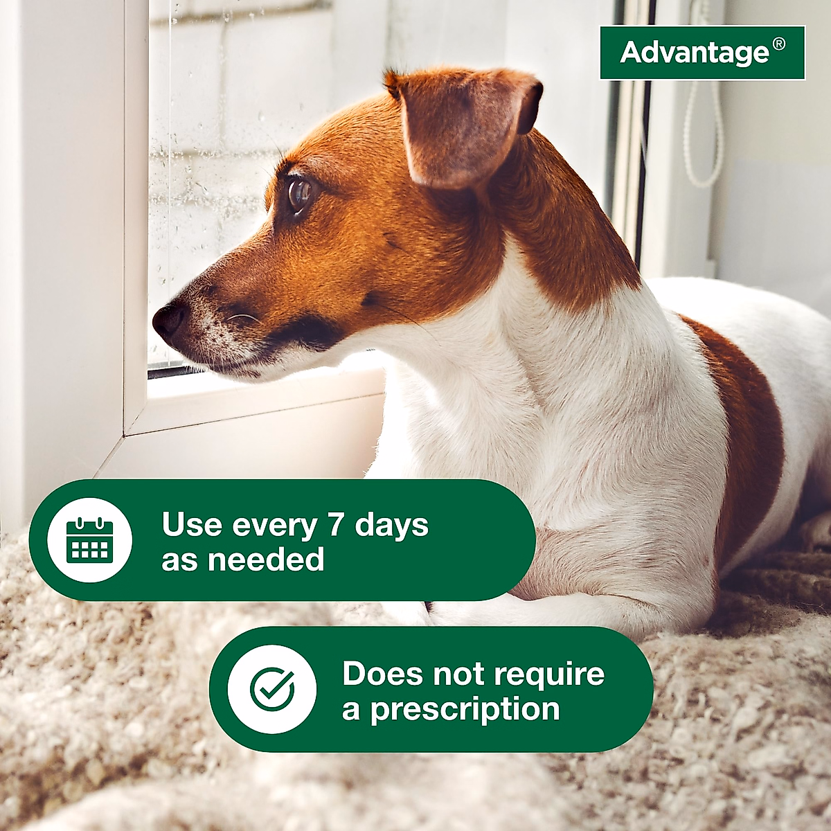 Advantage Dog Flea & Tick Shampoo for Puppies & Adult Dogs | Kills Fleas & Ticks | 24 oz.