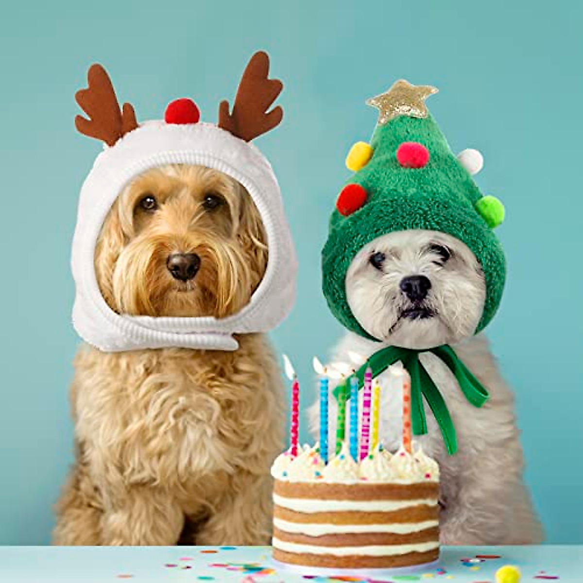 6 PCS Cat Christmas Outfit Cat Santa Hat with Scarf Cute Christmas Elk Antler Reindeer Cat Hat Green Santa Dog Hat Christmas Pet Costume Adjustable Puppy Dog Cap for Cat Costumes Xmas Party Supplies