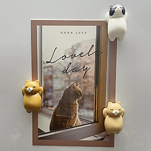 Cute Refrigerator Magnets,8 Pack Cat Magnets for Fridge Locker Decor Magnets 3D Cat Kawaii Magnets for Office,Kitchen,Whiteboard,House,Decorative Magnets Gifts for Cat Lovers