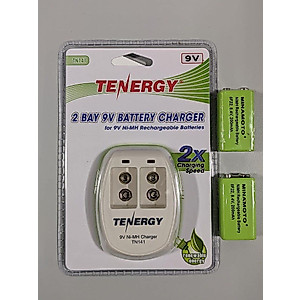 Garrett Recharger Kit for Garrett SuperWand and THD - 2 NiMH Batteries and 110 Volt 1612000