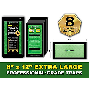 MaxGuard Extra Large Insect Traps (8 Traps) | Non-Toxic Extra Sticky Pre-Baited Glue Board, Trap & Kill Most Crawling Insects, Bugs, Spiders, Crickets, Scorpions, Cockroaches, Centipedes, Snakes.