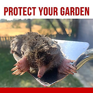 ALLRoad Easy Setup Mole Trap with Quick Kill Reusable Eliminator Scissor Trap Gopher Trap- Non Toxic and Protect The Lawn