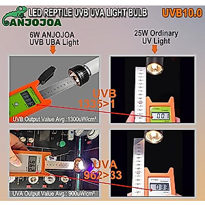 ANJOJOA UVB Reptile Light Bulb LED 6-Watt High UVB UVA Output 10.0 Bulb Reflection Dome Structure PSE Certification for Bearded Dragons Lizards Leopard Geckos Tortoises
