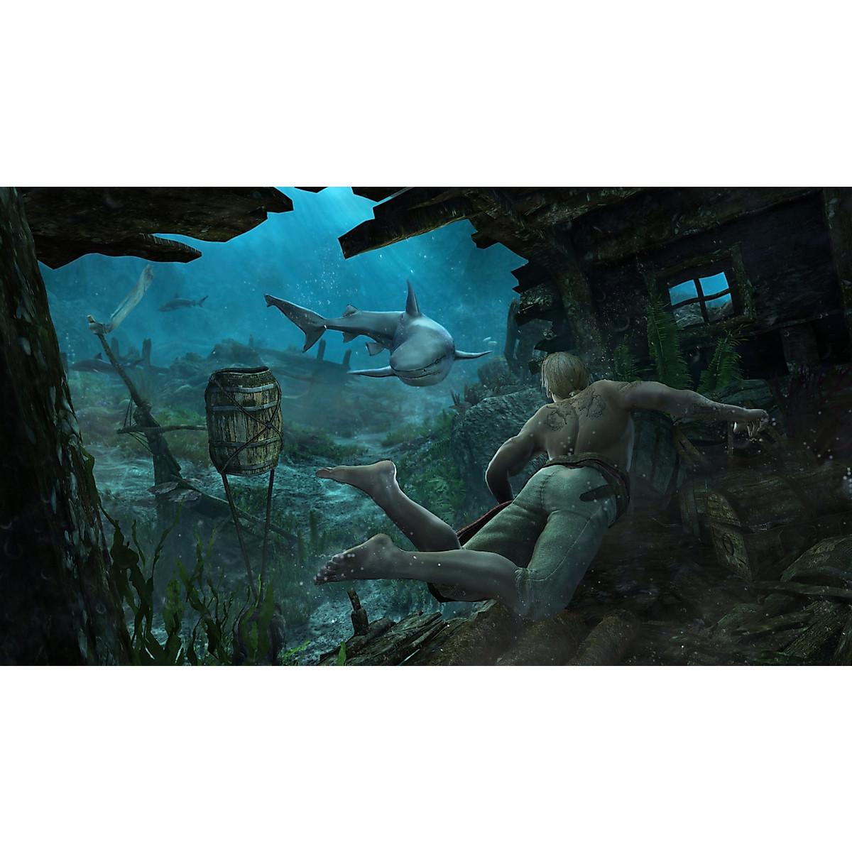 Assassin's Creed IV Black Flag - Playstation 3 (Renewed)