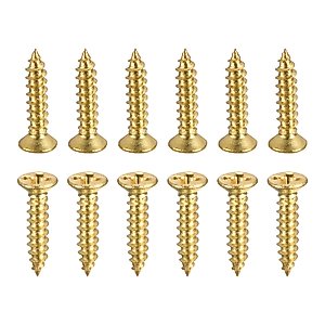 DTGN M2x10mm(DXL) Brass Phillips Wood Screws - 100Pack - Good for Wood Crafts, Furniture - Countersunk Head Self-Tapping Screw - Brass Tone
