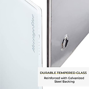 ECR4Kids MessageStor Magnetic Dry-Erase Glass Board with Magnets, 17.5in x 17.5in, Wall-Mounted Whiteboard, Birds, 2-Pack