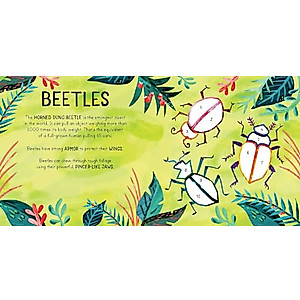 Color with Stickers: Jungle: Create 10 Pictures with Stickers!