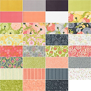 Robin Pickens Dandi Duo Jelly Roll 40 2.5-inch Strips Moda Fabrics 48750JR