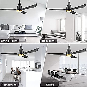 LEEAGLEGRY 52 Inch Black Ceiling Fan with Lights and Remote, Black and Gold Ceiling Fans with Dimmable LED Light, 3 Blade Modern Fan, Quiet DC Motor Tri-Color for Bedroom Living Dining Room