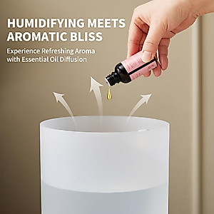 Clarston Humidifiers for Bedroom, 4L Cool Mist Humidifier with Essential Oils Diffuser and Nightlight, Top Fill Humidifiers for Home Large Room, Timer, Auto Shut-off, 40H Runtime
