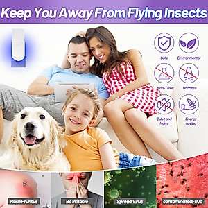 Flying Insect Trap - Indoor Fly Trap,4 PCS Highly Effective UV Blueish-Purple Light,Flying Insect Trap with Sticky Pads,for Flies, Fruit Flies, Moths, Gnats, and Other Flying Insects (4 pcs)