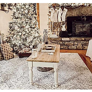 Hauteloom Bluffs Moroccan Farmhouse Living Room Bedroom Dining Room Area Rug - Bohemian Style - Boho Vintage Distressed - Beige, Gray, Brown, Cream 6'7" x 9'