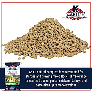Kalmbach Feeds 20% Flock Maker Crumbles for Mixed Flocks of Poultry, 50 lb