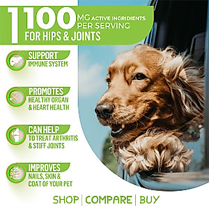 WIZARDPET Advanced Hemp Hip and Joint Supplement for Dogs - Hemp Oil Glucosamine Chondroitin for Dog - Omegas - Turmeric - MSM - Green Lipped Mussel, Made in USA Treats Support Mobility - 120 Chews
