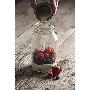 Kilner Snack On The Go Glass Jar Set Stainless Steel Cup Keeps Dry Ingredients Separate from Wet Foods, 17-Fluid Ounces, 0.5L