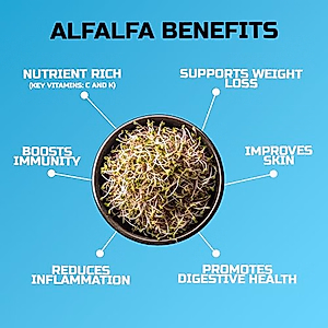 Alfalfa Sprouting Seed | Non GMO | Grown in USA | from Our Farm to Your Door (1 Pound (16oz))