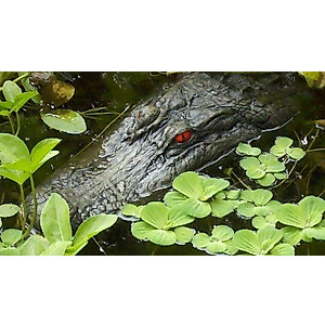 TJB-INC 22" Alligator Head Decoy & Pond Float with Reflective Eyes for Canada Geese & Blue Heron Control
