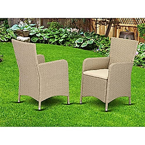 East West Furniture HLUC153V Wicker Patio Chairs