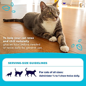 Okoa Pet “Chill, Kitty Kitty” Hemp Calming Supplement for Cats - Cat Anxiety Support Soft Chews for Reduced Stress, Thunder, Travel, & Separation - Salmon Flavor Hemp Treats - Vet Formulated, USA Made