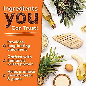 EARTH ANIMAL No Hide Small Chicken Flavored Natural Rawhide Free Dog Chews Long Lasting Dog Chews | Dog Treats for Small Dogs | Great Dog Chews for Aggressive Chewers