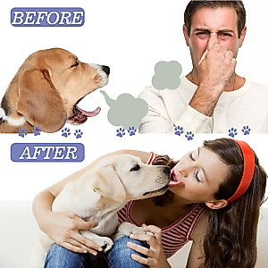 2PCS Pet Teeth Mouth Cleaning Spray, Pet Oral Care Cleaner, Cat & Dog Breath Freshener Spray