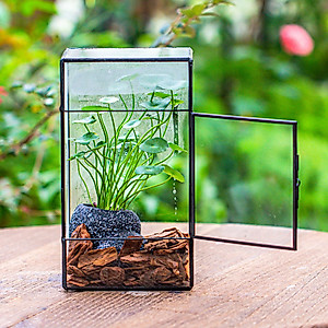 NCYP Small Glass Terrarium with 3 Vent Holes for Large Jumping Spider - 5.1" x 3.9" x 9" - Front Opening Door Insects Enclosure Habitat, Rectangle Black - Holes Diameter 0.12" (Terrarium Only)