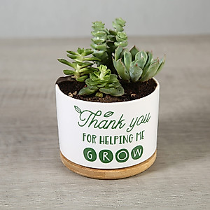 DOMG Teachers Appreciation Gift, Ceramic Succulent Plant Pot Small Flower Planter for Indoor Outdoor Use, Thank You for Helping Me Grow