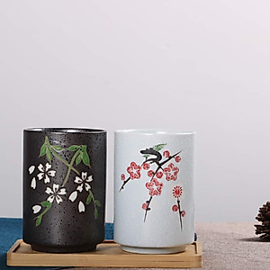 Sunddo Japanese Tea Cups Ceramic Teacup Mug Set of 2 10oz/300mL