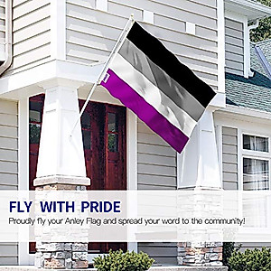 Anley Fly Breeze 3x5 Feet Asexual Pride Flag - Vivid Color and Fade proof - Canvas Header and Double Stitched - Asexual Pride Flag with Brass Grommets 3 X 5 Ft