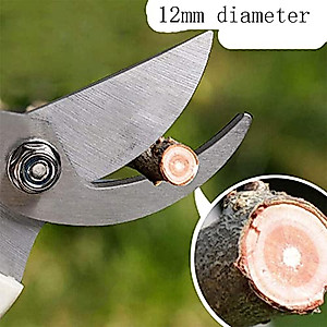 spdtech Curve Garden Scissor ,Sharp Garden Shears for Cutting Flowers,Trimming Plants, Bonsai, Fruits Picking White