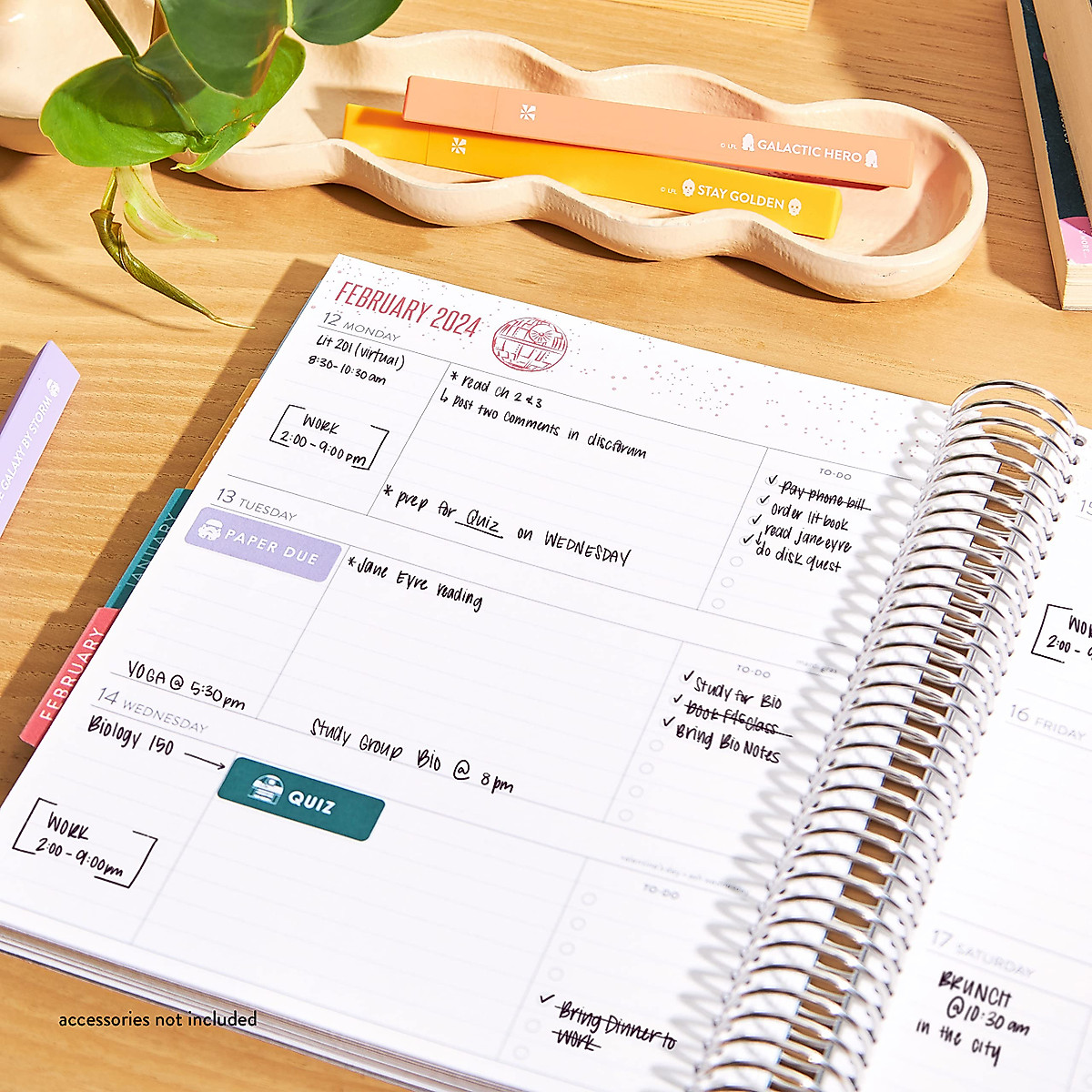 Erin Condren 7x9 Coiled Academic Planner (July 2024 - June 2025) - Watercolor Leia Cover, Star Wars Theme, Platinum Coil