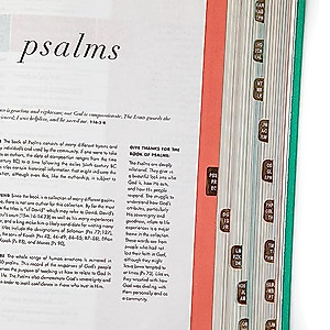 CSB She Reads Truth Bible, Emerald Cloth Over Board, Indexed, Limited Edition, Black Letter, Full-Color Design, Wide Margins, Journaling Space, Devotionals, Reading Plan, Easy-to-Read Serif Type
