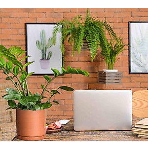 D'vine Dev Medium 8 Inch Terracotta Plant Pot with Drainage Hole and Saucer, Round Cylinder Planter Pot for Indoor Plants, 40-X-A-4