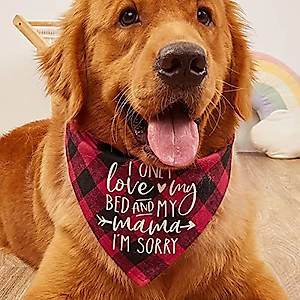 Ming Heng Funny Cute Red Plaid Pet Dog Cat Bandana Scarf,I Only Love My Bed and My Mama, I'm Sorry,Puppy Dog Scarf Pet Birthday Gift