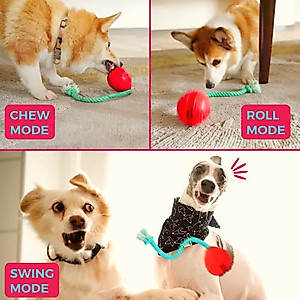 FOSSA Interactive Dog Toys, Crate Training Aids for Puppies, Puzzle Treat Dispenser with Rope