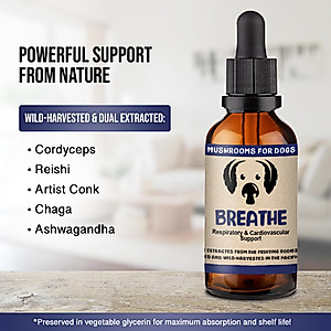 MycoDog Breathe Mushroom Extract & Adaptogen Tincture for Canines - Mushroom & Ashwagandha Supplements for Dogs with Breathing Challenges - Reishi Mushroom, Chaga, Cordyceps Mushroom & Artist Conk