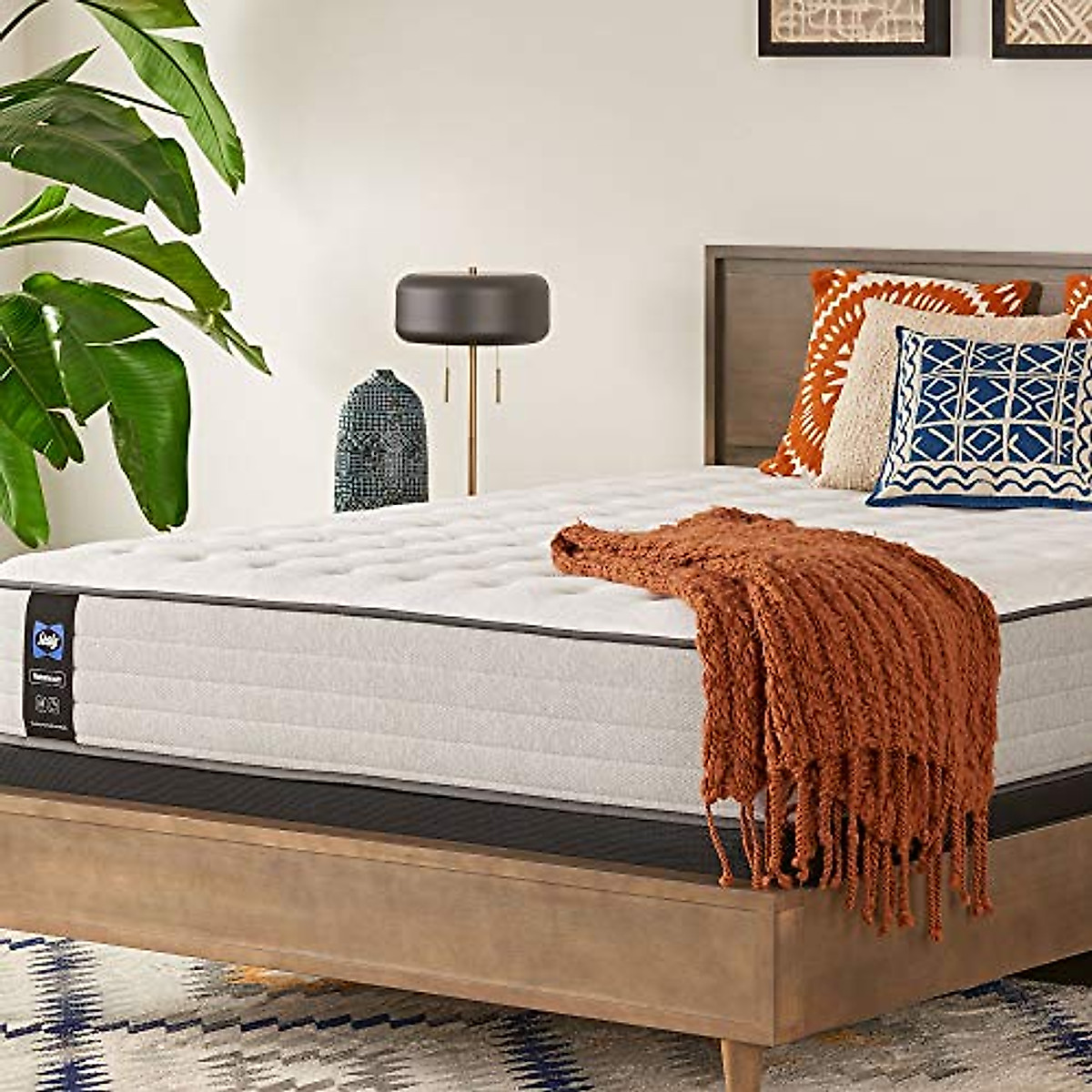 Sealy Posturepedic Spring Summer Rose Firm Feel Mattress and 5-Inch Foundation, Queen