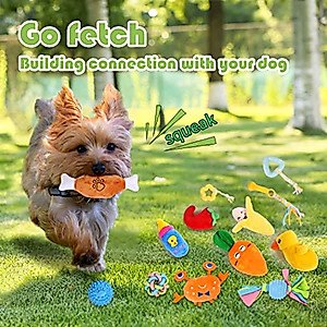 Squeaky Dog Toys for Puppy Small Dogs 18 Units Stuffed Toys with Rubber Toys in Bulk Plush Dog Toy Safe Fetch Chew Toys Pack for Chewing and Teething