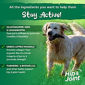 Vital Planet - Hip and Joint Soft Chews for Dogs, with Glucosamine, MSM, and Collagen from Green-Lipped Mussel - 30 Bacon Flavored Soft Chews