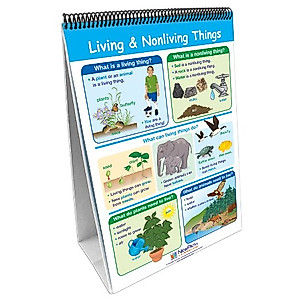 NewPath Learning 10 Piece Science Curriculum Mastery Flip Chart Set, Grade 1