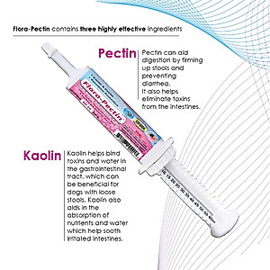Oral Paste for Dogs & Cats-Helps Reduce Occasional Loose Stool & Diarrhea, Balance Gut pH, Support Normal Digestion & Intestinal Flora-Fast Acting (30 CC - Tasty Chicken Flavor)