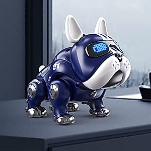 Robot Dog Toy for Kids - Robotic Stunt Puppy Built-in LED Lights and Music - Battery Operated Interactive Puppy with Music for Kids, Technological Dancing Dog Toy Electronic Pets for Kids Germplasm