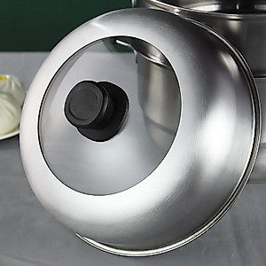 Beeiee Steamer pot for cooking,8.5 Quart,Vegetable steamer,Food steamer,Dumpling steamer,Veggie steamer,Seafood steamer,Fish steamer,Egg steamer,Bun steamer,Steamer cookware,Stainless steel