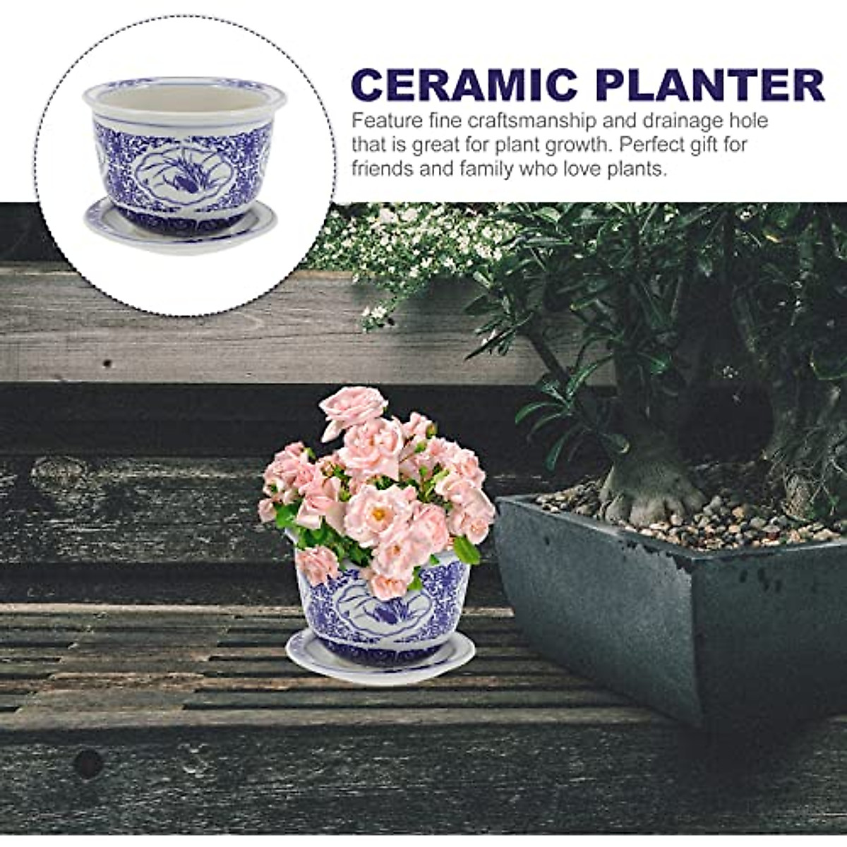 Yardwe Blue and White Planter Ceramic Planter Ceramic Flower Pots with Drainage Hole Plant Pots with Saucer Tray Plants Container for Bonsai Plants Flower Aloe Small Succulent Pots
